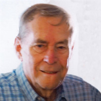 Julene Johnson Obituary 2018 - Peterson Brothers